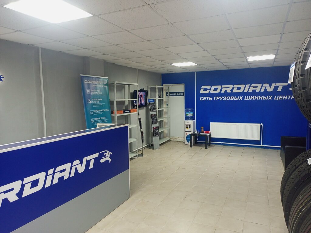 Oto lastik tamiri Cordiant Professional, Volgogradskaya oblastı, foto