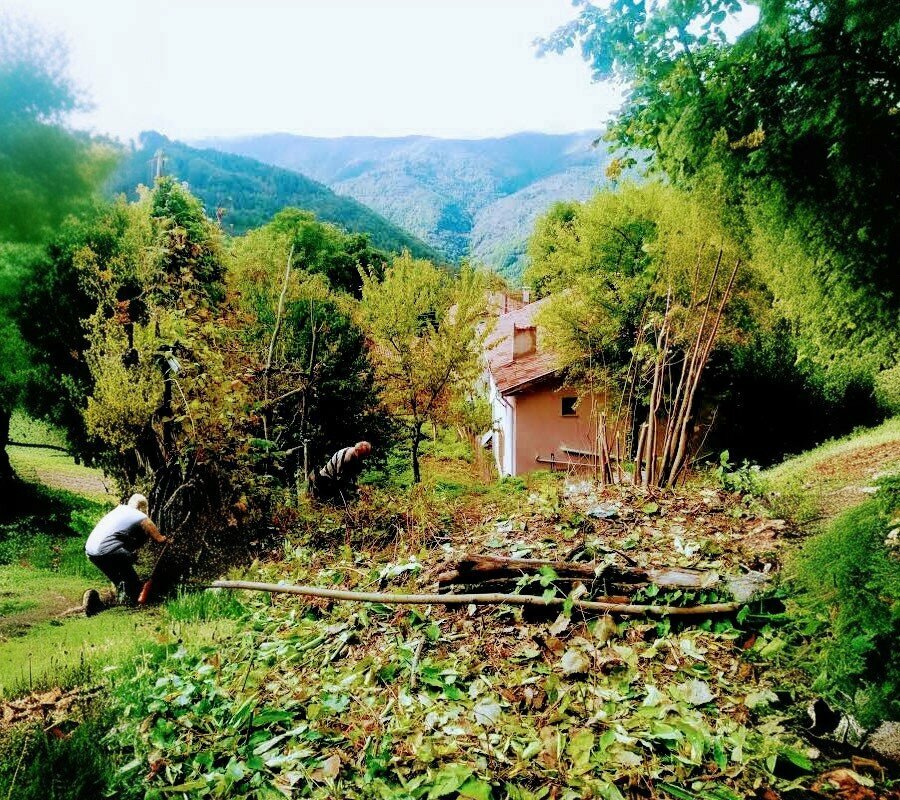 Muhtarlıklar Görentaş Köy Muhtarlığı, Bozkurt, foto