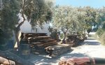 Çapgınlar Orman Ürünleri (Muğla, Bodrum, Konacık Mah., Gazi Mustafa Ergen Sok., 8), alışveriş merkezleri  Bodrum'dan