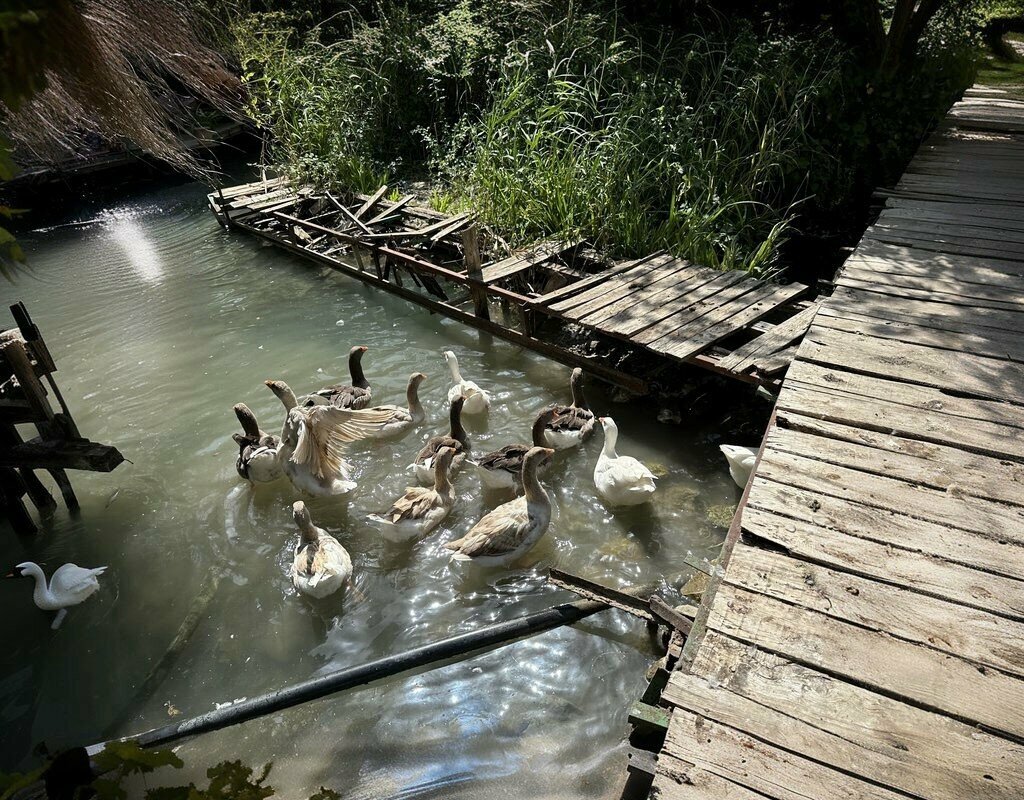 Kafe Gizli Cennet, Fethiye, foto