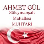 Süleymanşah Mahallesi Muhtarlığı (Kahramanmaraş, Onikişubat, Süleymanşah Mah., 1005. Sok.), yönetim ofisi  Kahramanmaraş'tan