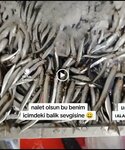 Kilyos Balık ve şalçalık biber (Gaziantep, Şehitkamil, Kayaönü Mah., Ş. İbrahim Karaoğlanoğlu Cad., 119), balık ve deniz ürünleri  Gaziantep'ten