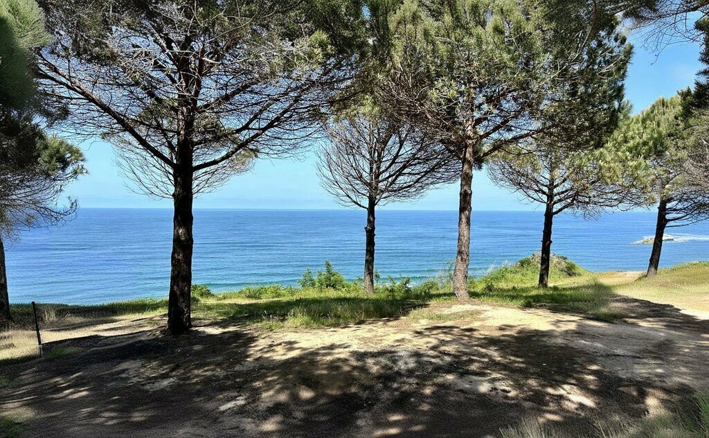Çiftlik tatili Kırandere Tatil Köyü, Şile, foto