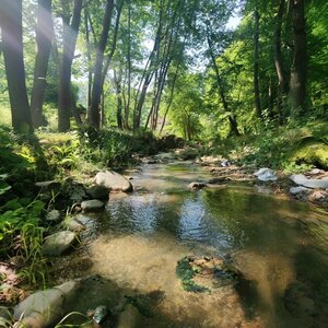 Değirmen Piknik Yeri Kamarot (Tekirdağ, Süleymanpaşa, Yeniköy Mah.), piknik alanı  Süleymanpaşa'dan