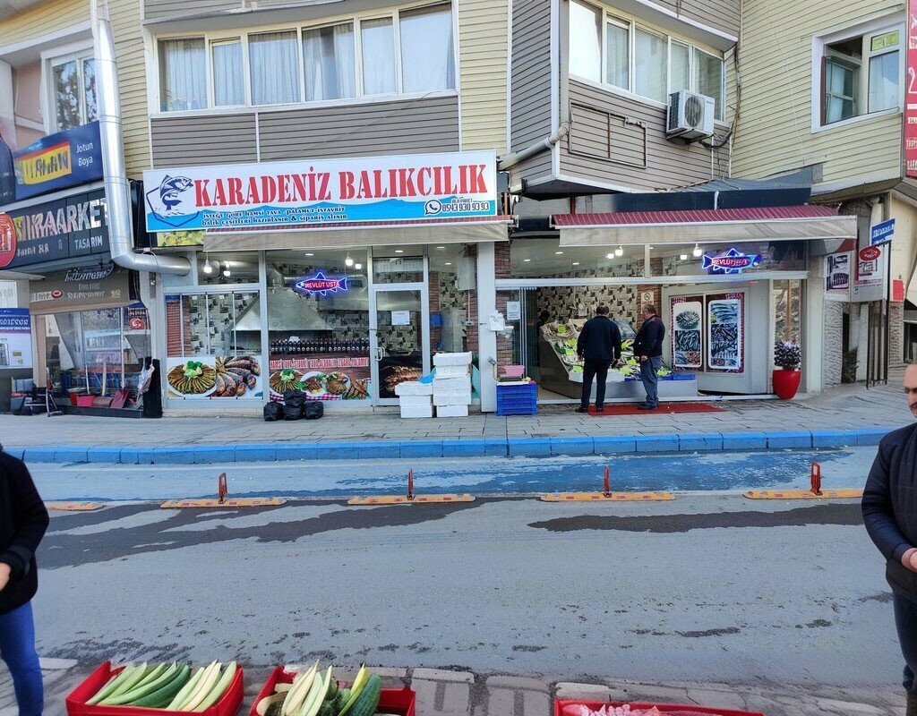Balık ve deniz ürünleri Elbistan Balıkçı - Yusuf Usta, Elbistan, foto
