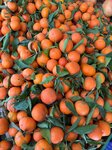 Marché Badr (Grand Casablanca-Settat, Casablanca, Anfa, Rue de l'Imam Al Aloussi, 13), pazarlar ve çarşılar  Fas'tan