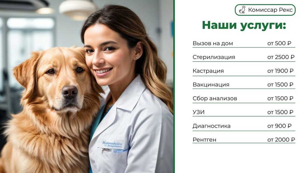 Veteriner klinikleri Комиссар Рэкс, Moskova, foto