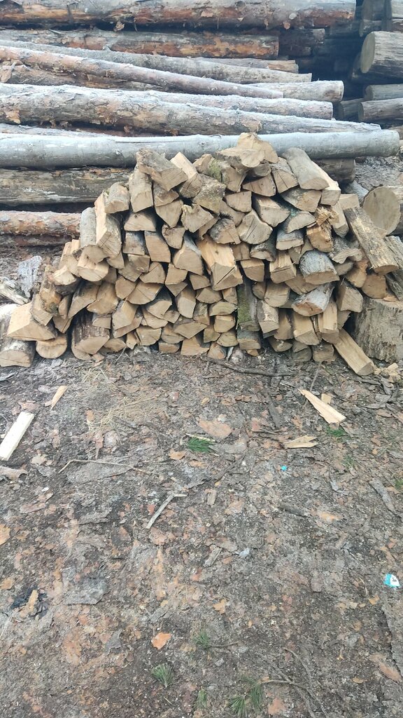Ahşap endüstrisi Деревообрабатывающее предприятие, Lipetskaya oblastı, foto