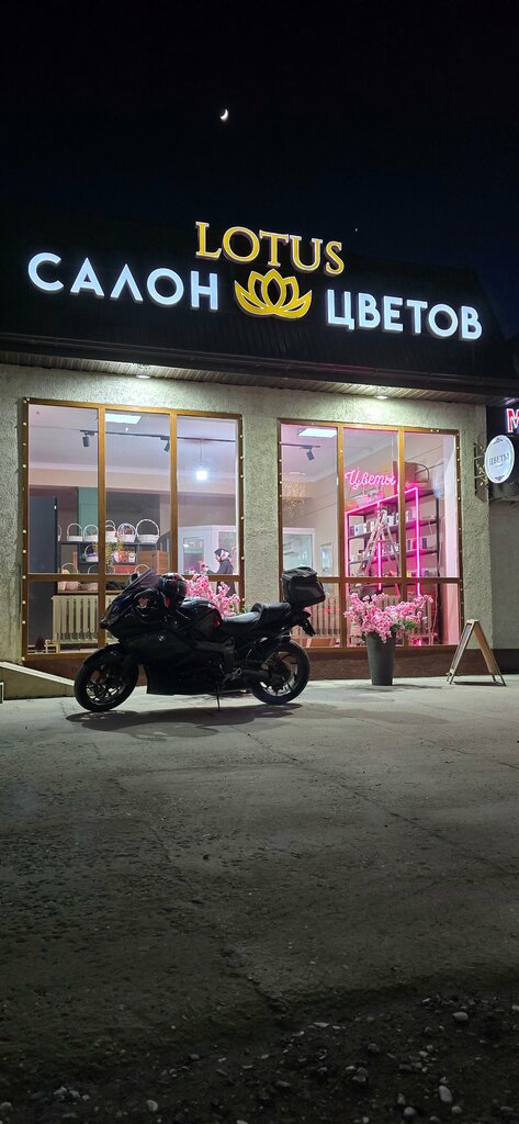 Çiçekçiler Lotus, Grozni, foto