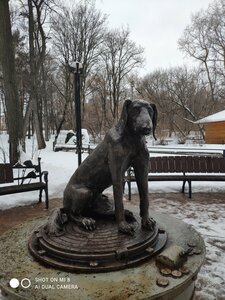 Бездомная собака (Republic of Tatarstan, Yelabuga, Aleksandrovskiy sad), park, sokak heykeli  Alabuğa'dan
