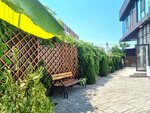 Kiwi (ulitsa Stanislavskogo No:3А, Urban-Type Settlement of Sirius), otel  Krasnodarski krayından