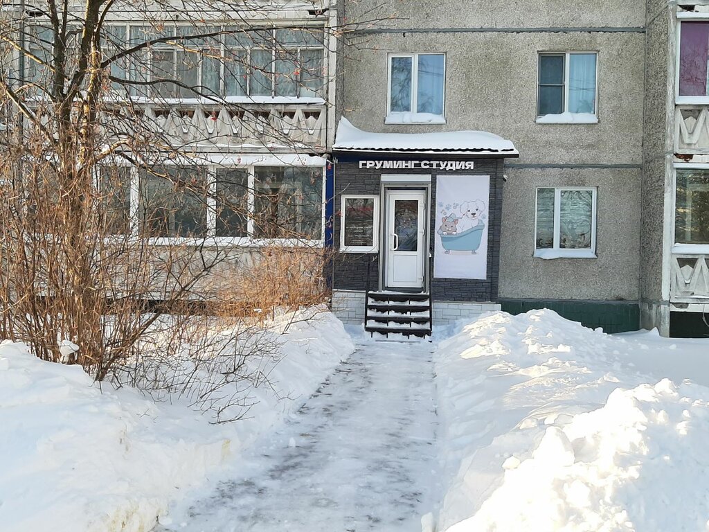 Evcil hayvan kuaförleri Пёс Пижон, Petrozavodsk, foto