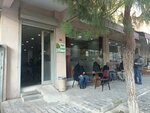 Yeşil Çınar Kıraathanesi (İstanbul, Kartal, Karlıktepe Mah., Kuyulu Sok., 3A), oyun salonları  İstanbul'dan