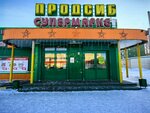 Kengu24 (ulitsa Lelyukha No:5), ödeme terminali  Berdsk'ten