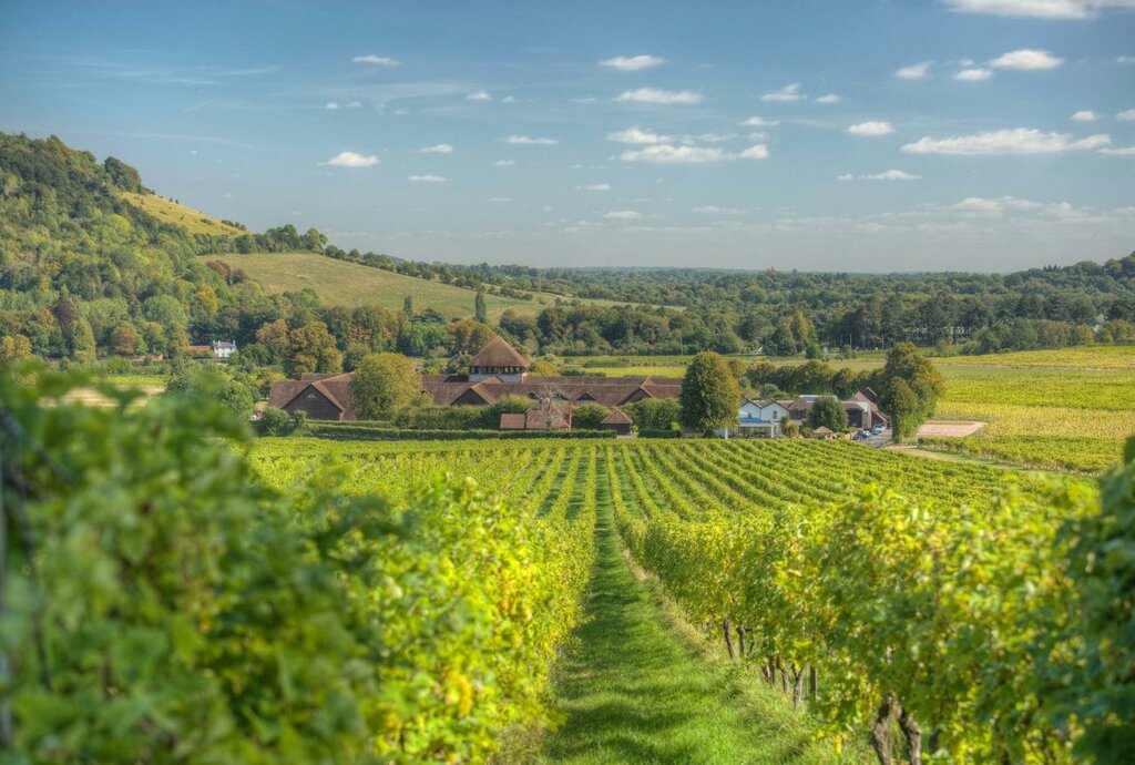 Otel Denbies Vineyard Hotel, İngiltere, foto