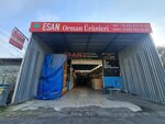 Esan Orman Ürünleri (Şafak Mah., 5024. Sok., No:17, Kepez, Antalya), ahşap endüstrisi  Antalya'dan
