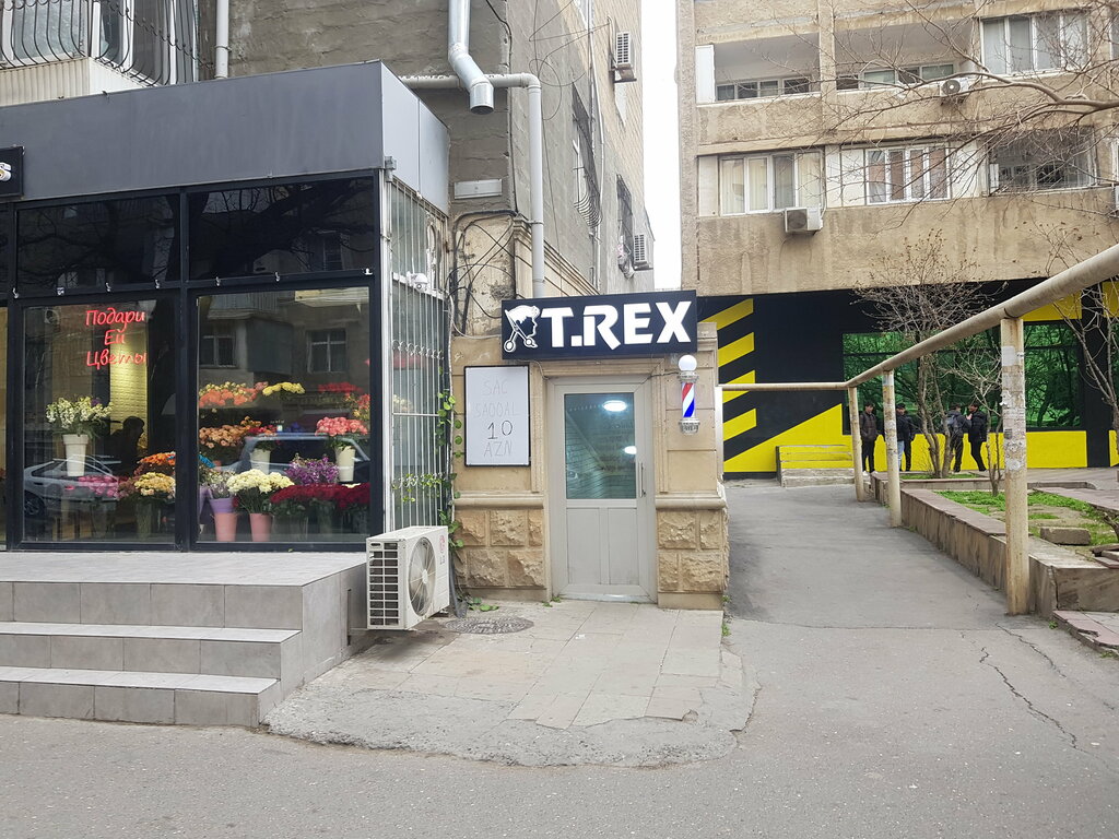Berberler T. Rex, Bakü, foto