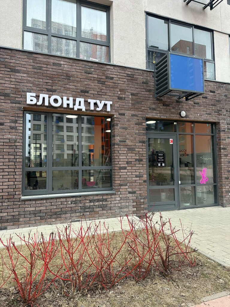Güzellik salonu Блонд Тут, Moskova, foto