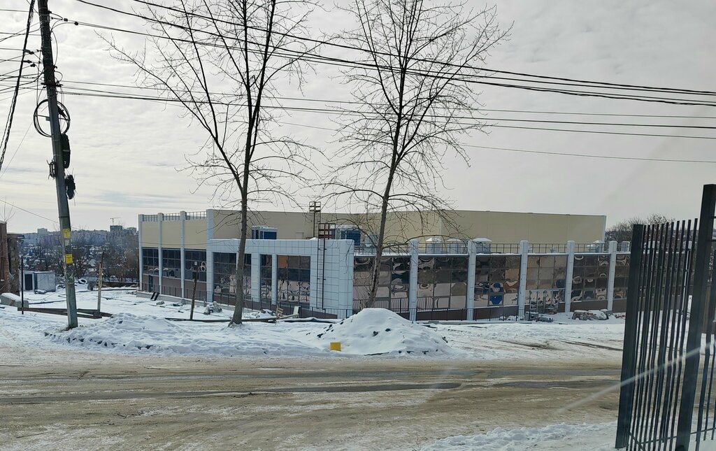 Yüzme havuzları Бассейн КГУ, Kursk, foto