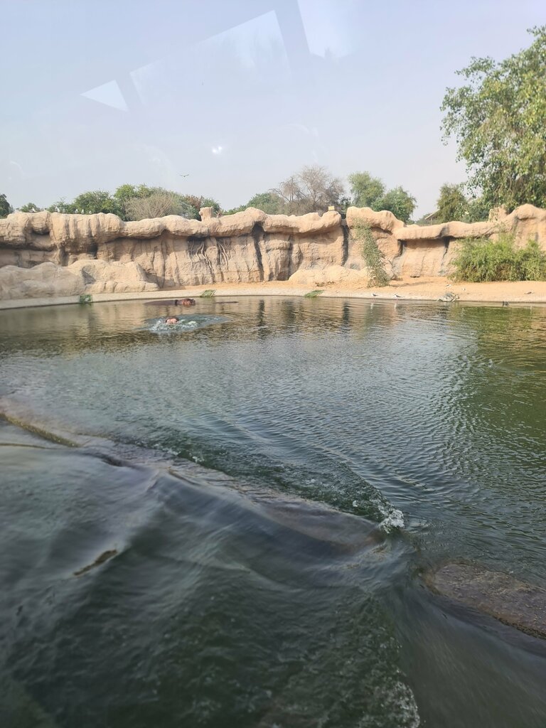 Kültür ve eğlence parkları Al Wadi, Dubai, foto