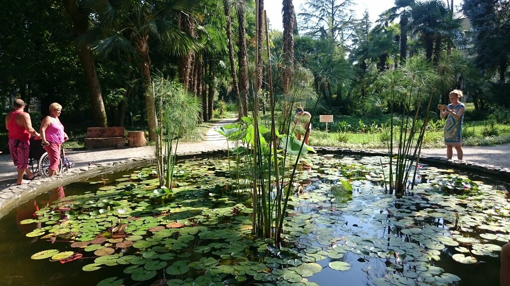 Doğa Pond with turtles, Suhum, foto