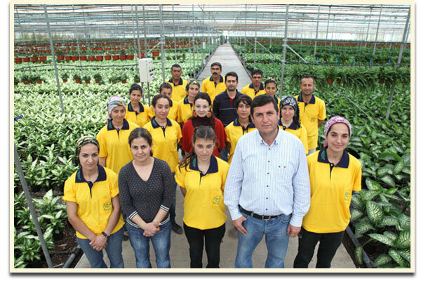Sera ve bahçe ürünleri Yenice Seracılık, Tarsus, foto