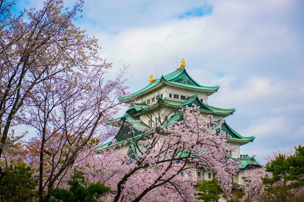 Otel Hilton Nagoya, Nagoya, foto