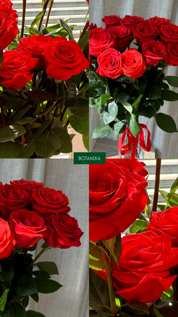 Çiçekçiler Botanika, Novodvinsk, foto