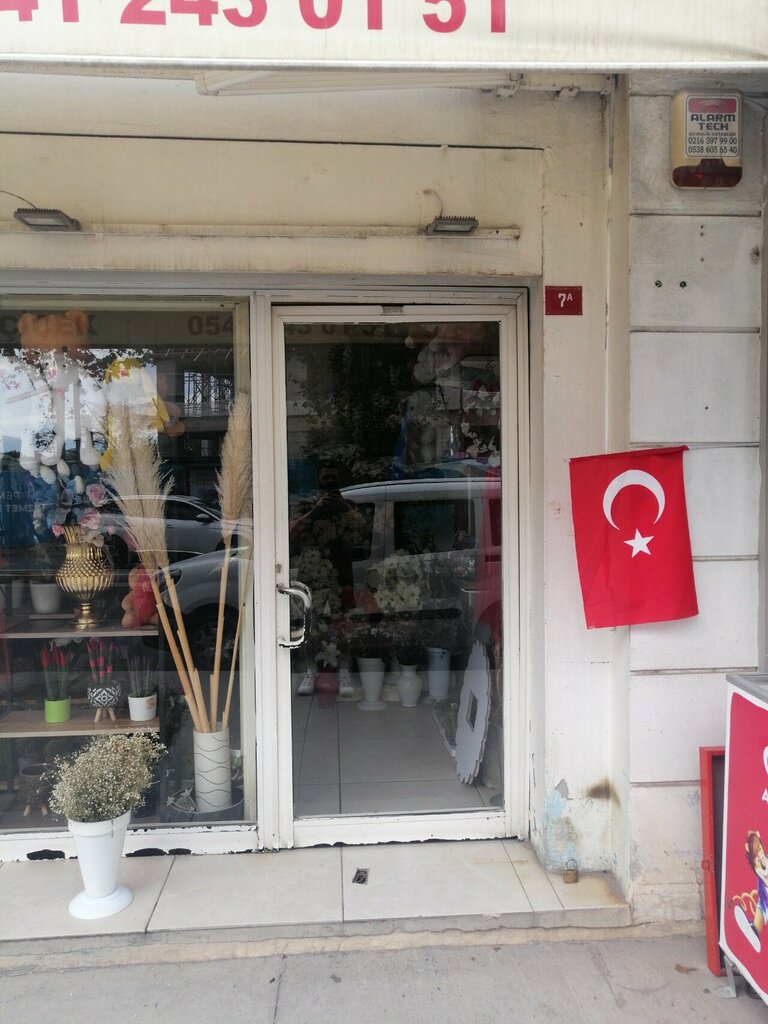 Yapay bitki ve çiçek Jakarin Çiçek, İstanbul, foto