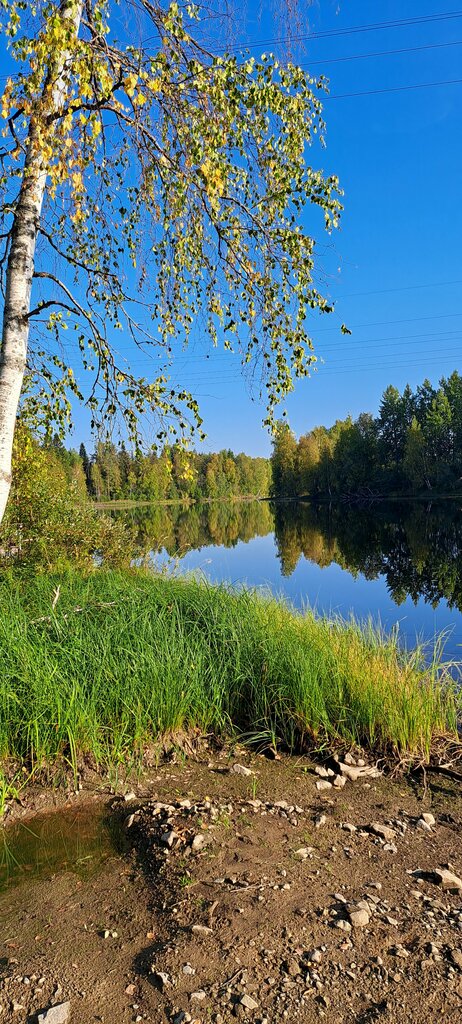 Resort oteller, tesisler У реки, Karelya, foto