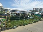 Магазин посадочных материалов (Krasnodar Territory, Sochi, Zarechniy Microdistrict), tohum satan yerler  Soçi'den
