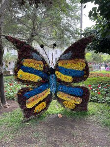 Parque Kennedy - Miraflores District (Miraflores, Kennedy Park), kültür ve eğlence parkları  Lima'dan