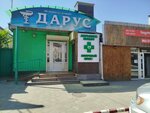 Darus (Kurmanjan Datka Street No:238), tıp merkezleri ve klinikler  Bişkek'ten