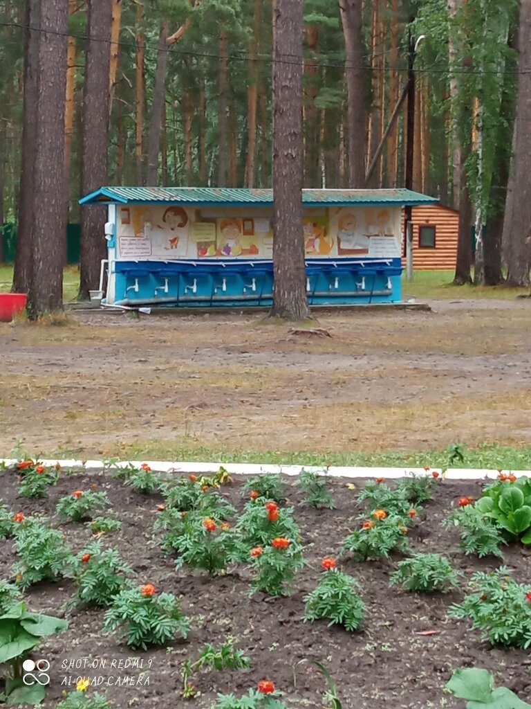Yaz kampı Detsky Lager im. Olega Koshevogo, Tümen (Tiumenskaya) oblastı, foto