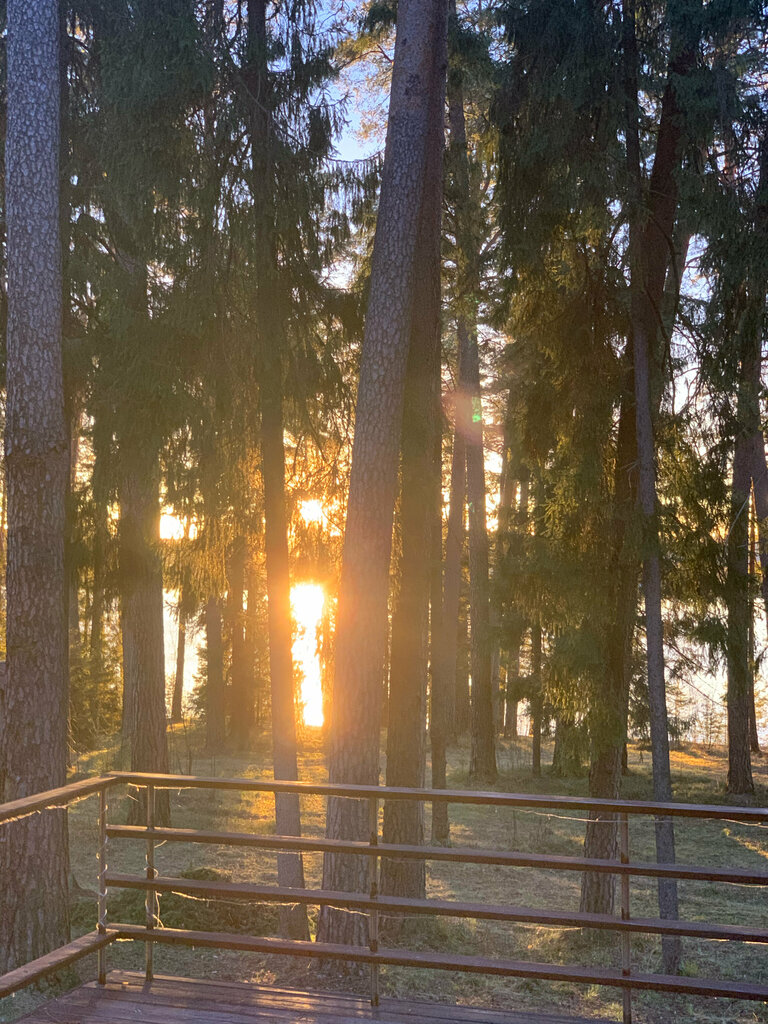 Tatil köyleri База отдыха Клетинский бор, Tverskaya oblastı, foto