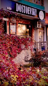Dostoevsky (Dostoevskogo Street No:83, Ufa), kahve dükkanları  Ufa'dan