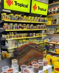 Akvaryum Express gebze pet shop (Kocaeli, Gebze, Sultan Orhan Mah., 1124/1. Sok., 7), petshop  Gebze'den