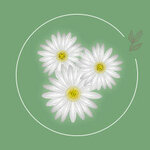 FlowerGuru (Dubininskaya Street No:57с2), çiçek teslimatı  Moskova'dan
