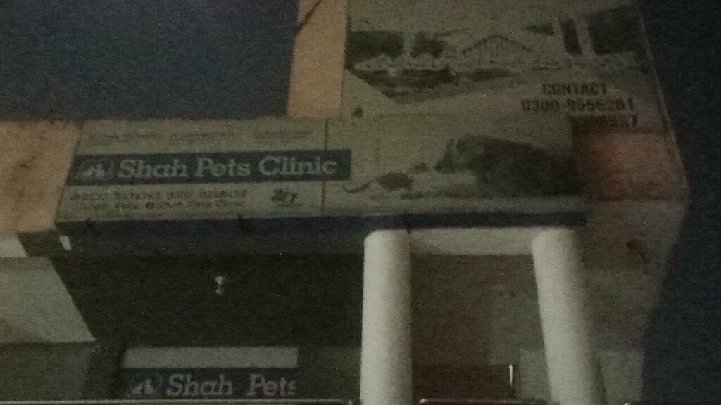 Veteriner klinikleri Shah Pets Clinic, Islamabad, foto