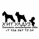 Pitomnik H'it Ulduz (Stantsionnaya Street No:1к2, Mytischi), evcil hayvan yetiştiricileri  Mytişçi'den