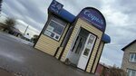 Софья (Orenburg, mikrorayon Krasny Gorodok, ulitsa Bebelya), market  Orenburg'dan