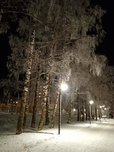 Южный парк (Kirovo-Chepetsk, Yuzhny park), kültür ve eğlence parkları  Kirovo‑Chepetsk'ten
