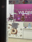 Wildberries.ru (Moscow, Troitsk District, 1st Novovatutinskaya Street, 5), teslimat noktası  Moskova'dan