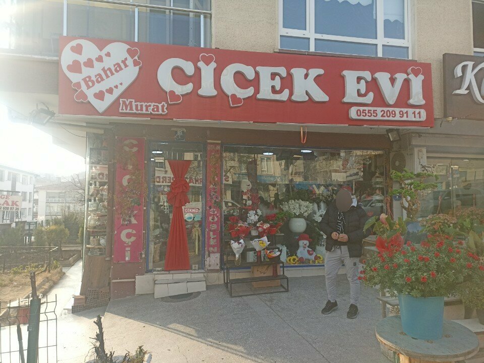 Çiçekçiler Bahar Çiçekçilik, Ankara, foto