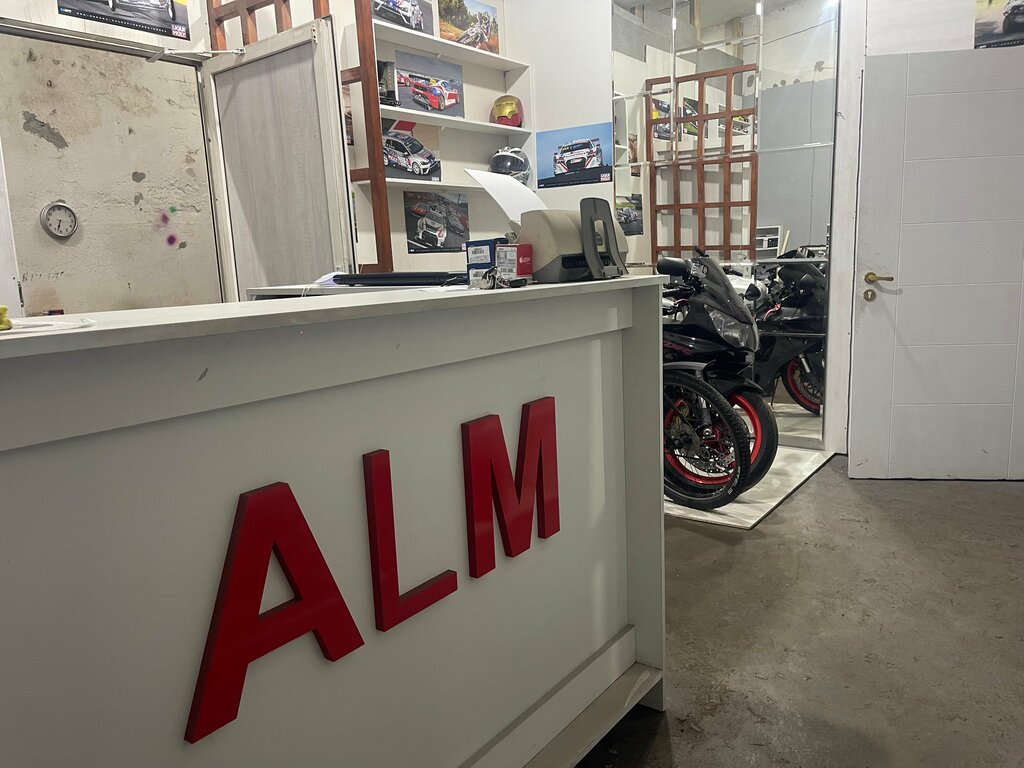 Otomatik teşhis Alm сервис, Minskaya oblastı, foto