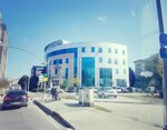 Yalova İl Özel İdaresi (Yalova, Yalova Merkez, Şehit Ömer Faydalı Cad., 201), belediyeler, devlet daireleri  Yalova'dan