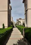 Çanka Evleri (Çanakkale, Çanakkale Merkez , Barbaros Mah., Sülün Sok.), toplu taşıma durağı  Çanakkale'den