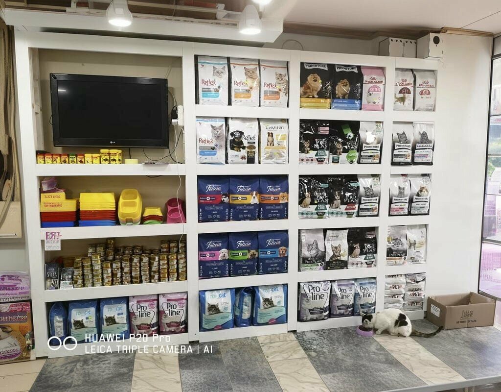 Veteriner klinikleri Ereğli Veteriner Kliniği, Marmara Ereğlisi, foto