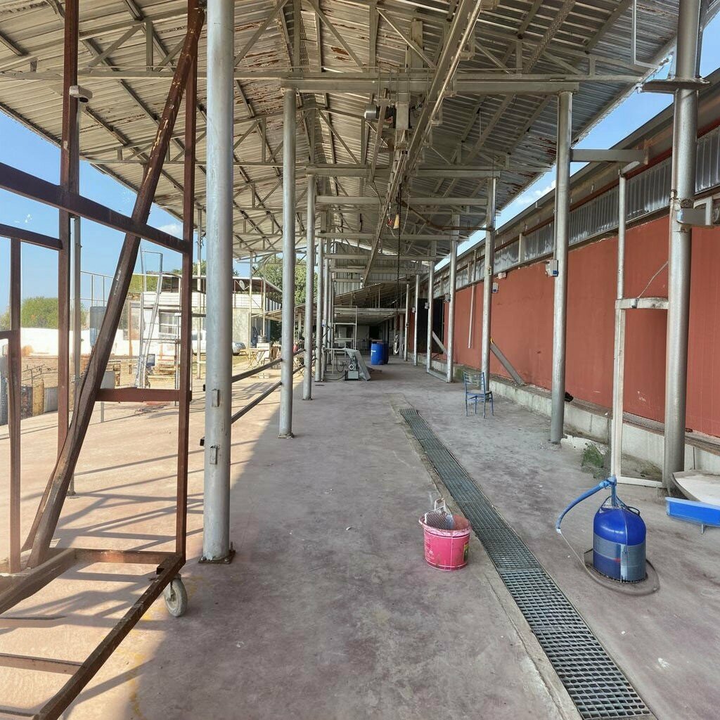 Hayvancılık Özsayımlar Besi Çifliği, Gebze, foto