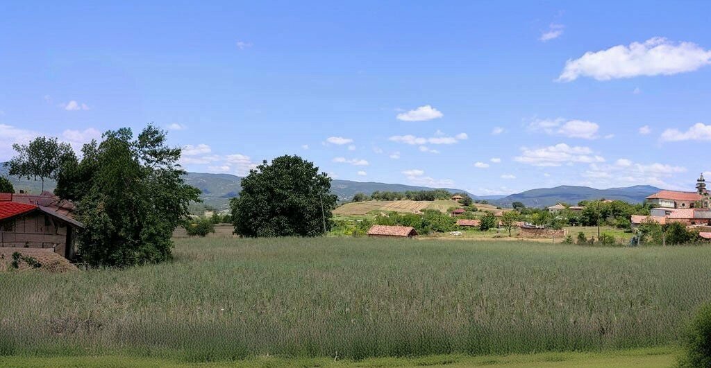 Muhtarlıklar Müslimler Köy Muhtarlığı, Araç, foto